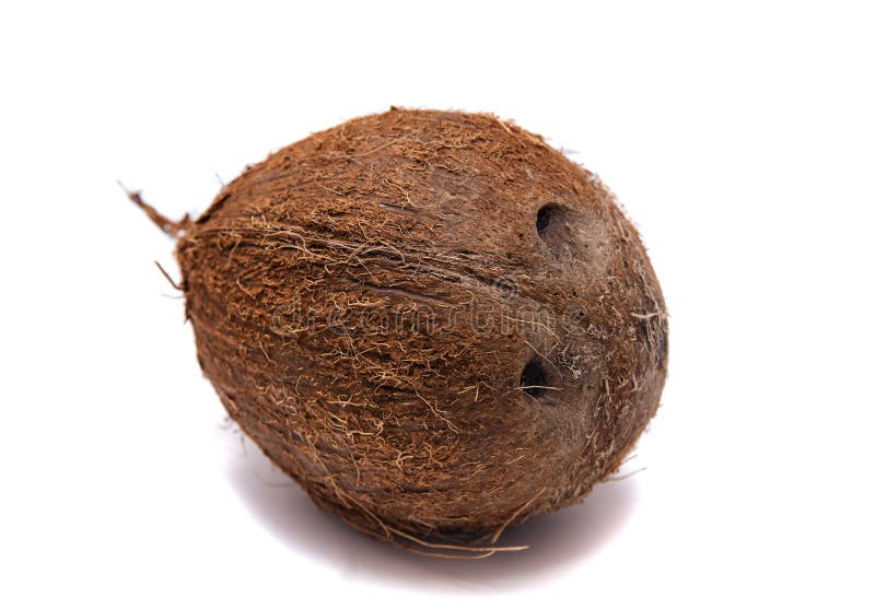 Coconut on a White Background Stock Photo - Image of organic, healthy ...