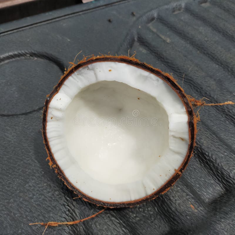 A Coconut with White Thick Kernel Stock Photo - Image of kernel, white ...