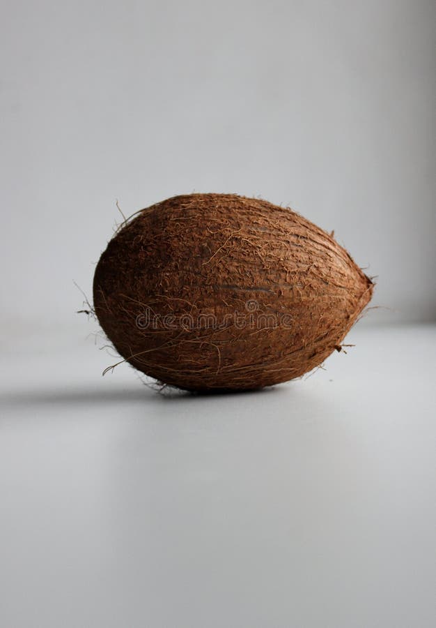 Ripe Whole Coconut Lies on Its Side Detailed Side View Stock Photo ...