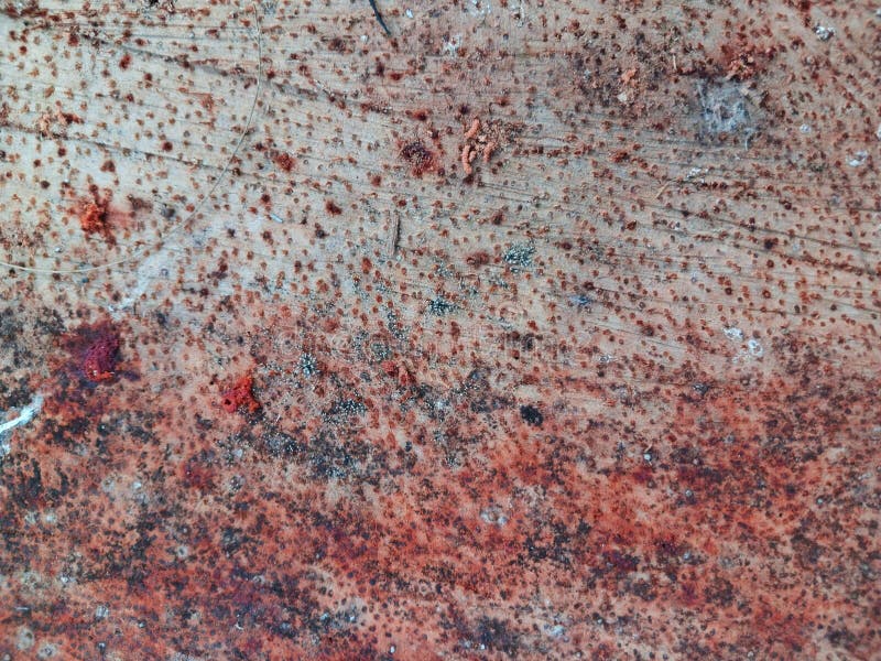 Coconut Wood Texture Background. Coconut Wood Texture Stock Photo ...