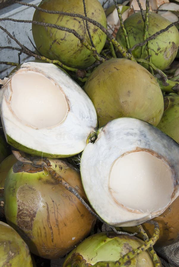 Coconuts stock photo. Image of healthy, food, stalk, opened - 20371512