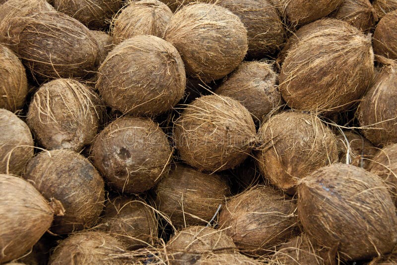Pile of Coconuts Background Stock Photo - Image of agriculture, plant ...