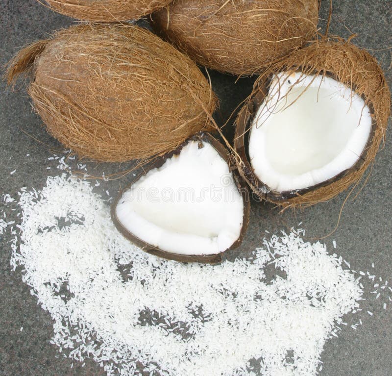 Coconuts stock image. Image of tasty, shell, nuts, uncooked - 5550505