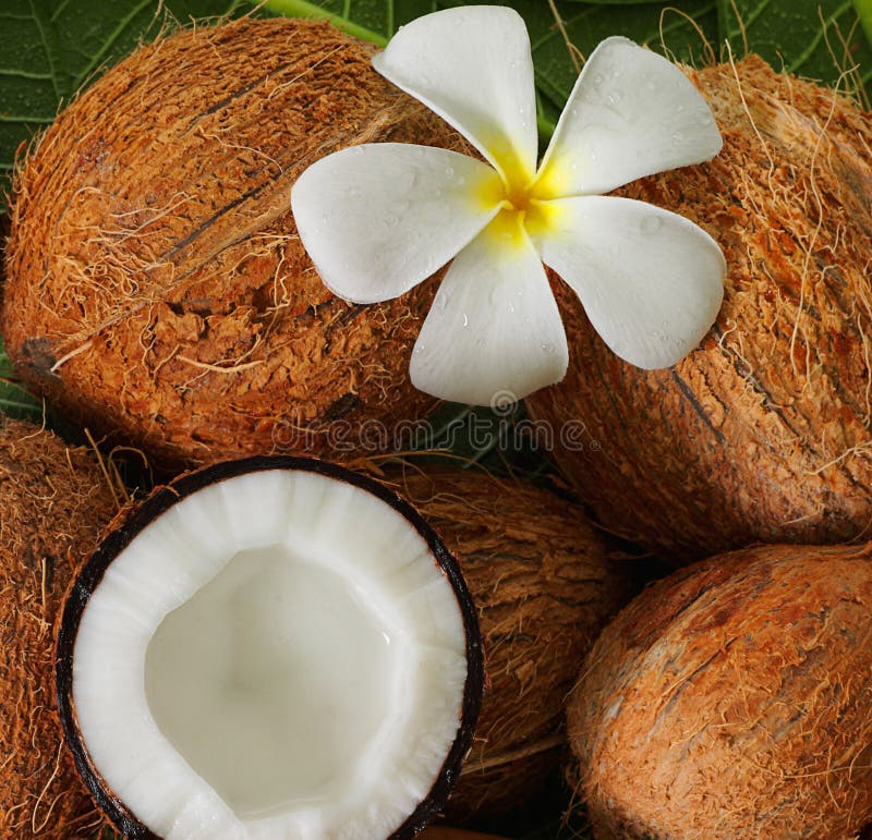 Coconuts stock photo. Image of freshness, coconuts, leaf - 7860108