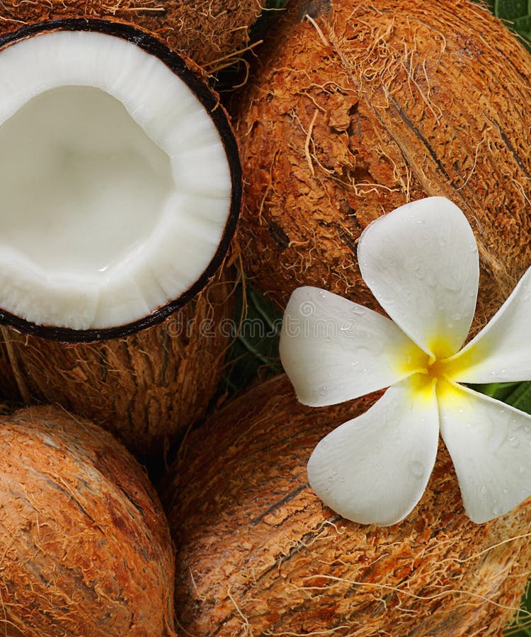 Coconuts stock image. Image of nature, coconuts, macro - 7860137