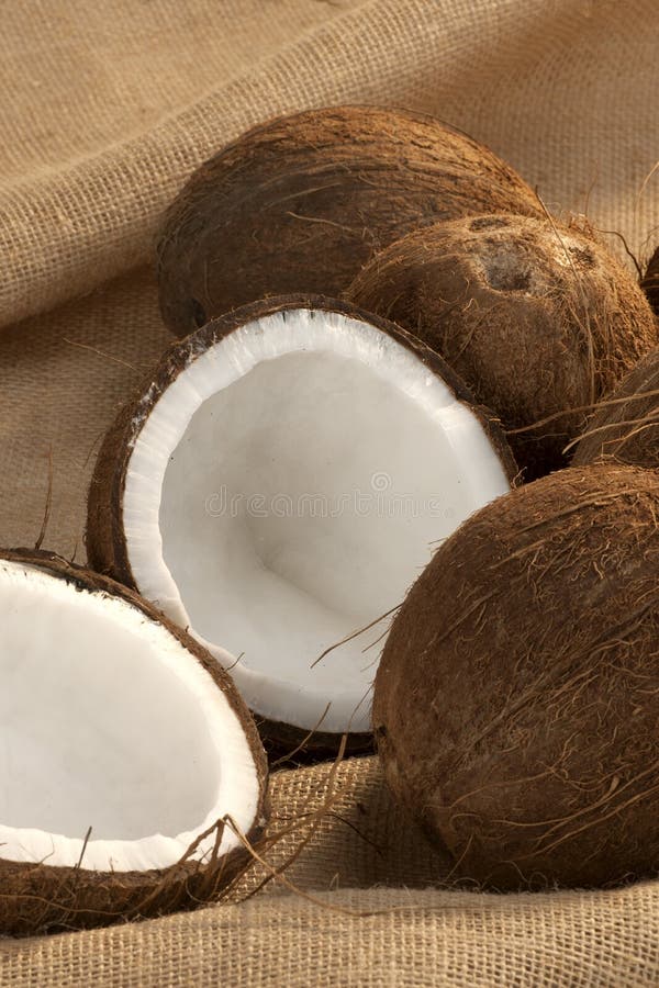 Coconuts stock photo. Image of healthy, food, coconut - 37275190