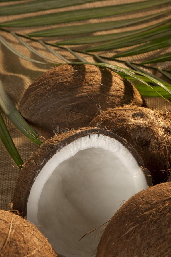 Coconuts stock image. Image of straw, grass, organic - 37275997