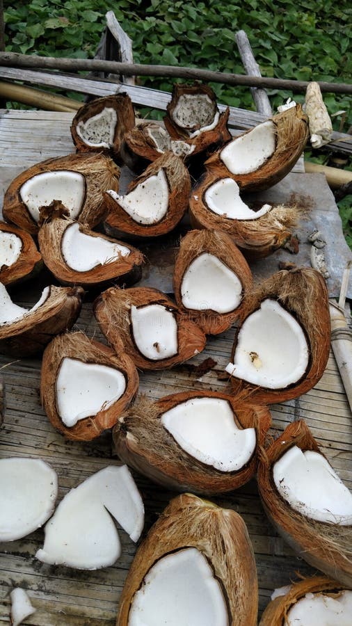 Coconuts are Dried in the Sun Stock Photo - Image of meal, wood: 344176970