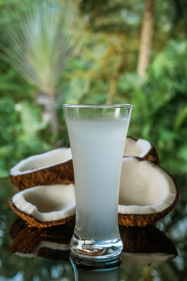 Diet Drink. Organic Coconut Water, Milk. Nutrition, Hydration. H Stock ...
