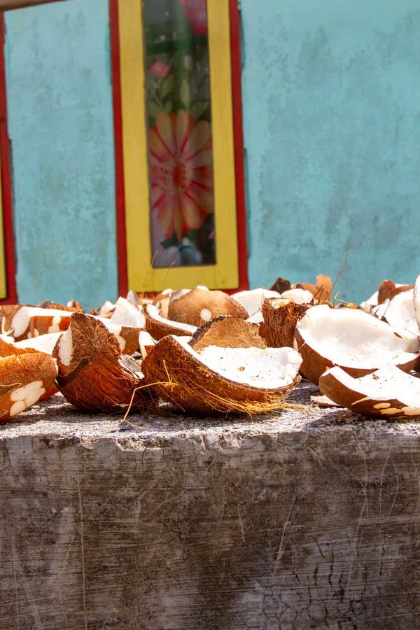 Drying coconut husks stock photo. Image of brown, close - 342966074