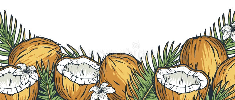 Coconuts Fruits Frame. Summer Fruit Design Element Stock Vector ...