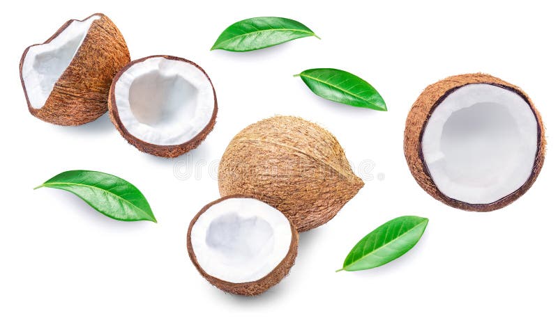Coconuts with Green Leaves Isolated on White Background. Collection ...