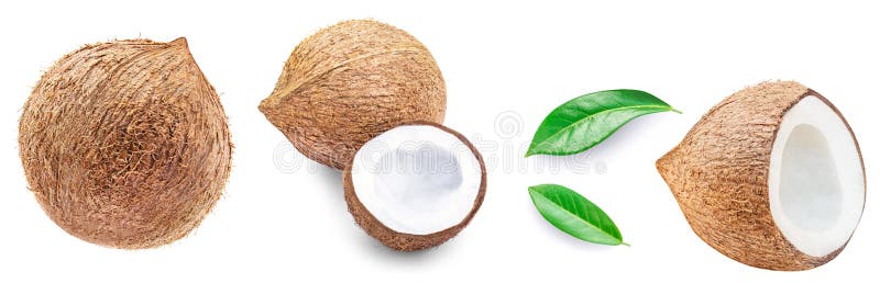 Coconuts with Green Leaves Isolated on White Background. Collection ...