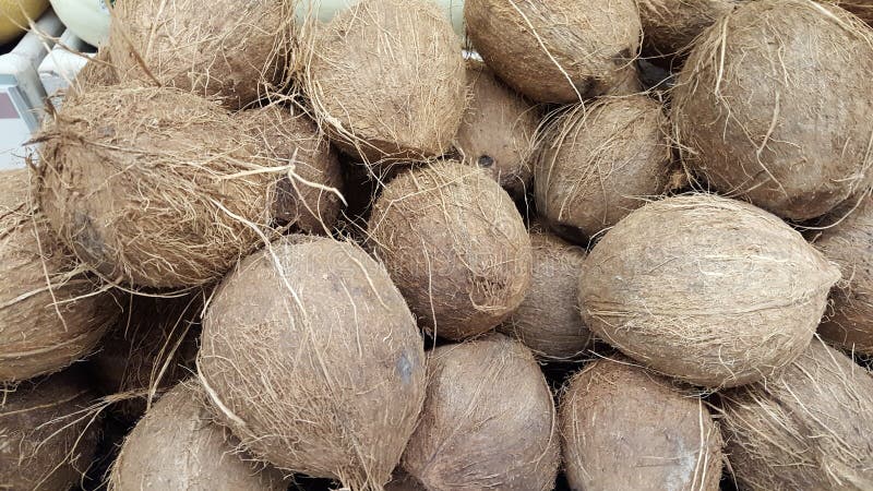 Coconuts at Grocery Store or Market Stock Image - Image of sale, stall ...