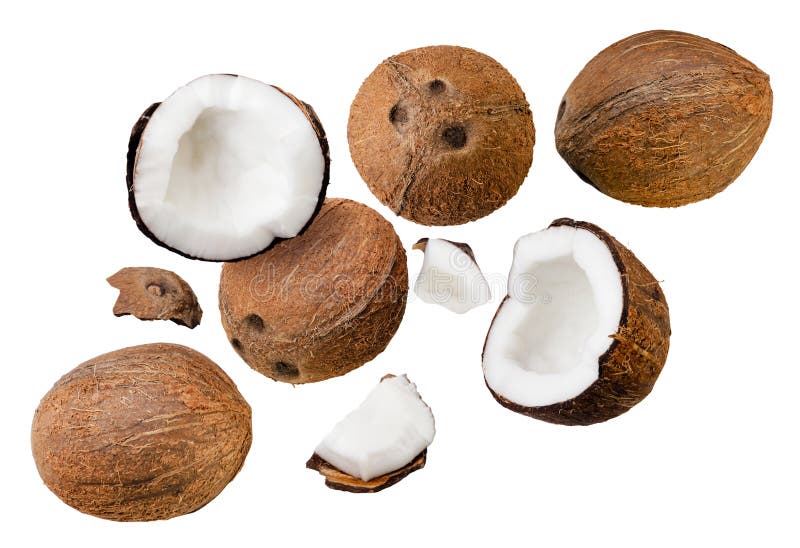 Coconuts, Halves and Pieces are Flying on a White Background. Isolated ...