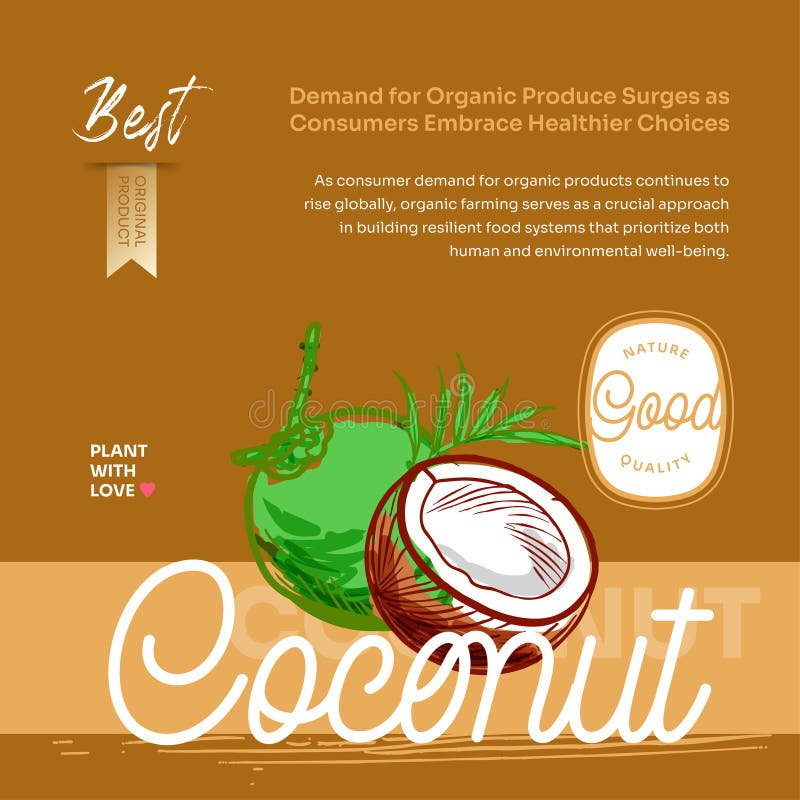 Coconuts Hand Drawn Exotic Tropical Fruit Vector Post, Flyer and Label ...