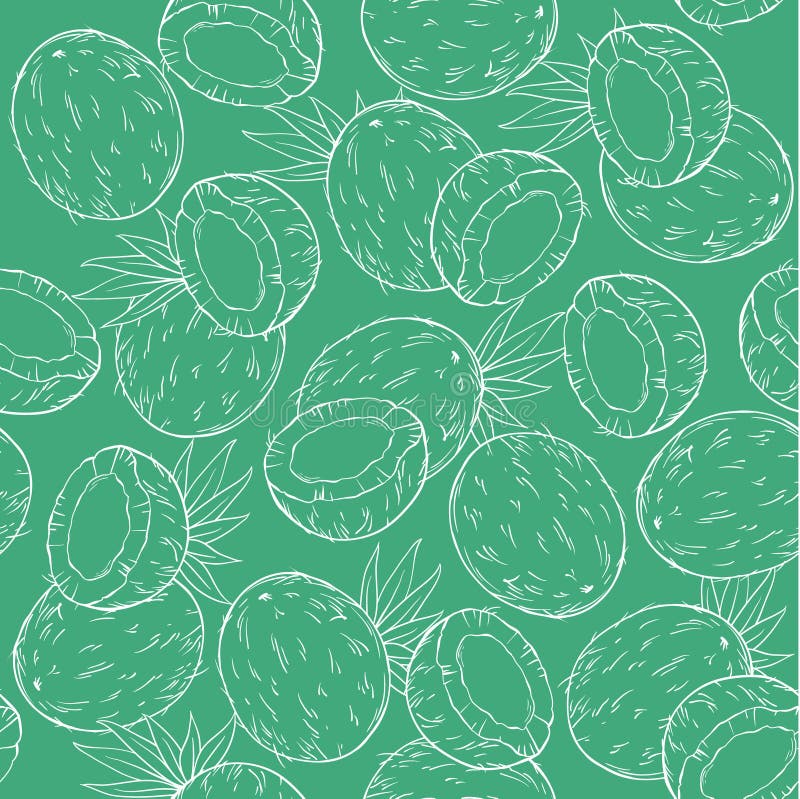 Coconuts Hand Drawn Sketch Vector Seamless Pattern Illustration Stock ...