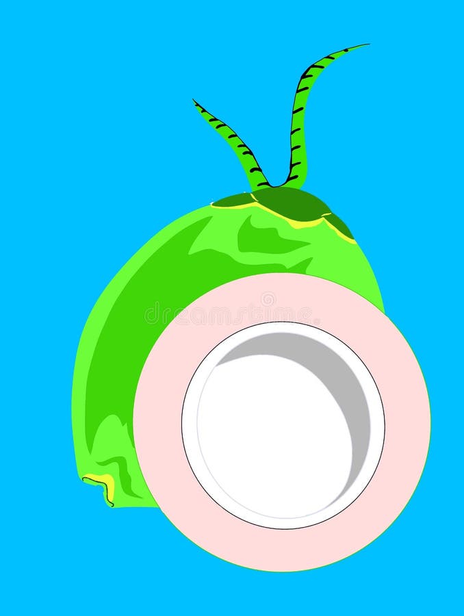 Coconuts Have Many Benefits for Humans Stock Illustration ...