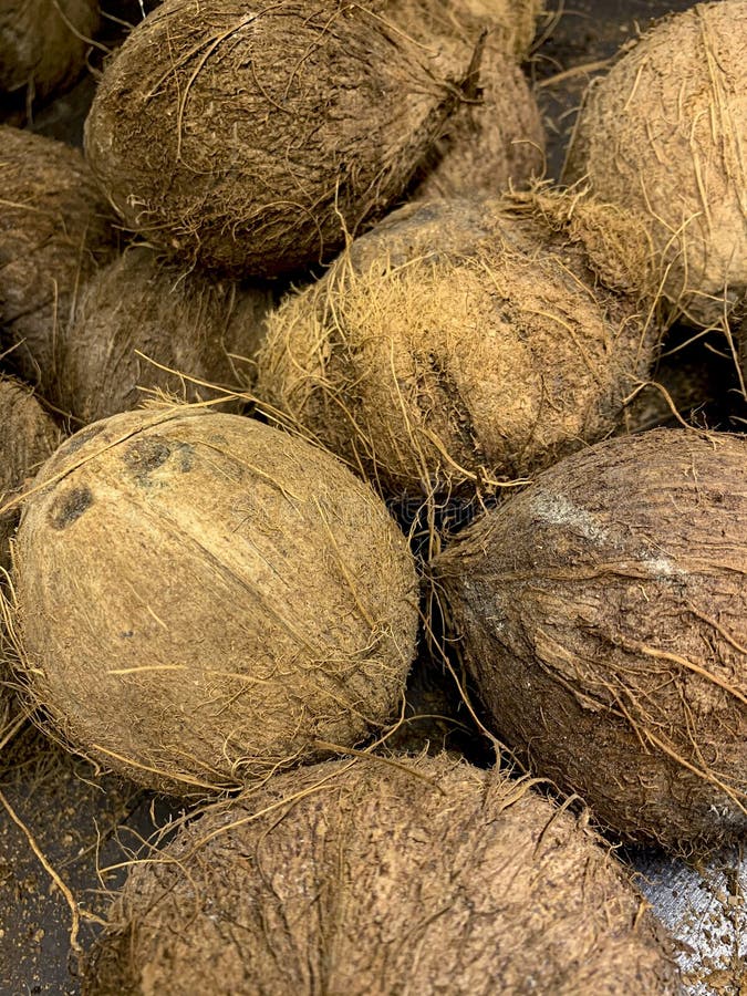 Group of Coconuts on the Market Stock Image - Image of drink ...