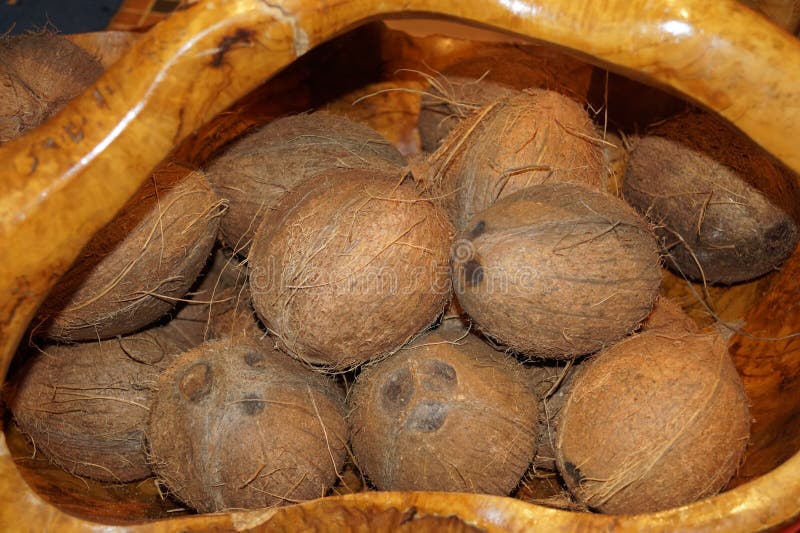 Coconuts on a martket stock image. Image of market, coconuts - 115745817