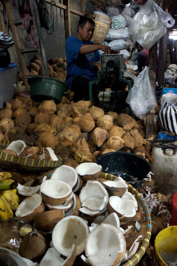 Coconuts editorial image. Image of bazaar, food, merchants - 47546760