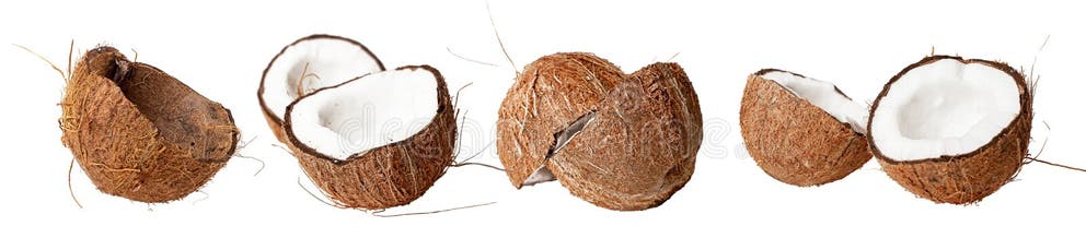 Coconuts Set. Halved Pieces, Cross-section of Coco Nut Fruit with Brown ...