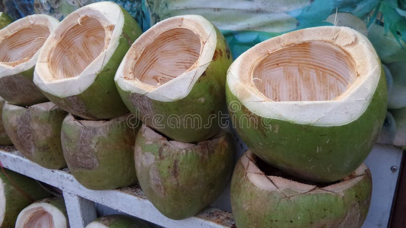 Coconuts shell stock photo. Image of icecreme, sweet - 51732334