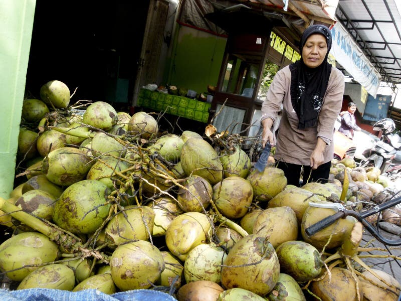 Coconuts editorial stock photo. Image of traders, side - 73089378