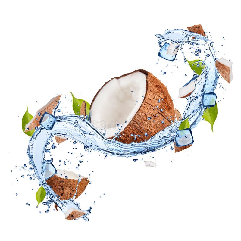 Coconuts with water splash stock photo. Image of space - 23443256