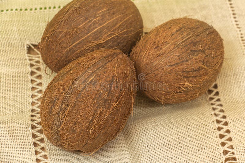 Coconuts in a sack stock photo. Image of market, husk - 12748924