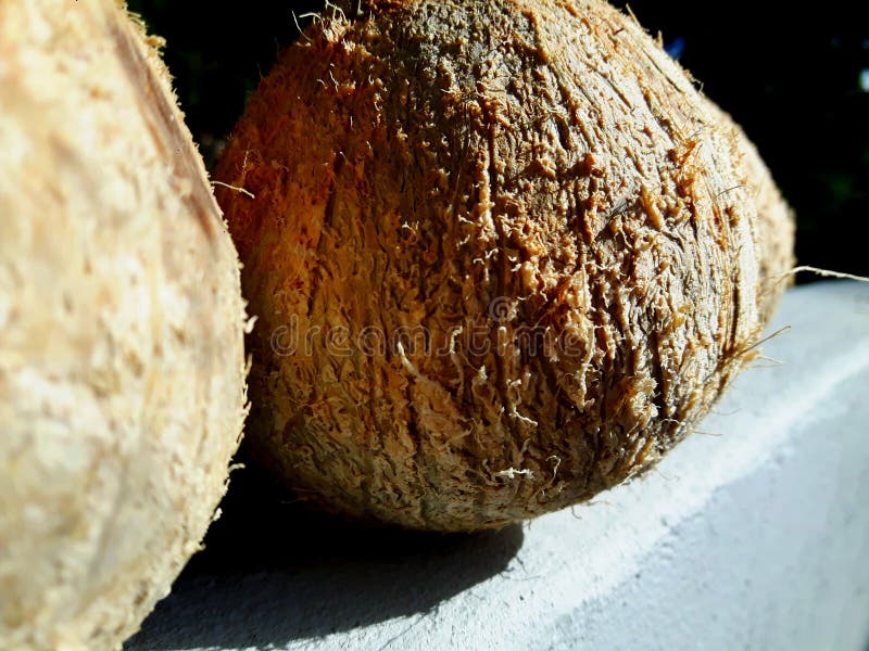 Coconut texture. Close up stock photo. Image of delicious - 123433046