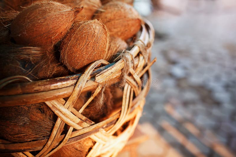 Coconuts in a Wicker Basket of Brown Color with Fibers Lit by Sunlight ...