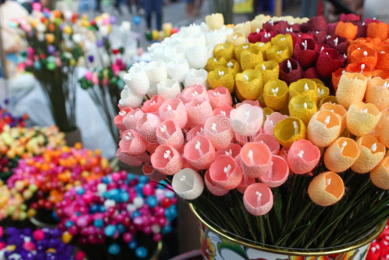 Cocoon flower stock photo. Image of plant, fabric, bloom - 64141092