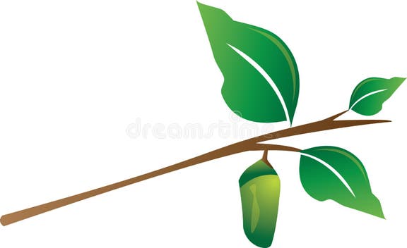 Insect Branch Stock Illustrations – 56,854 Insect Branch Stock ...