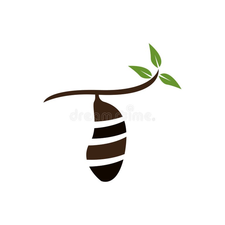 Cocoon Icon and Symbol Template Illustration Stock Vector ...