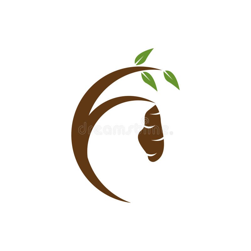 Cocoon Icon and Symbol Template Illustration Stock Illustration ...