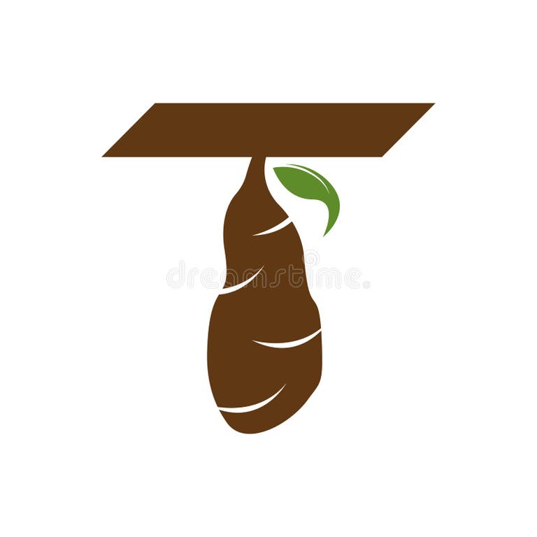 Cocoon Icon and Symbol Template Illustration Stock Illustration ...