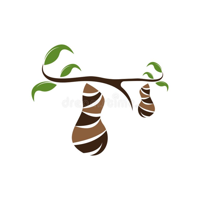 Cocoon Icon and Symbol Template Illustration Stock Illustration ...