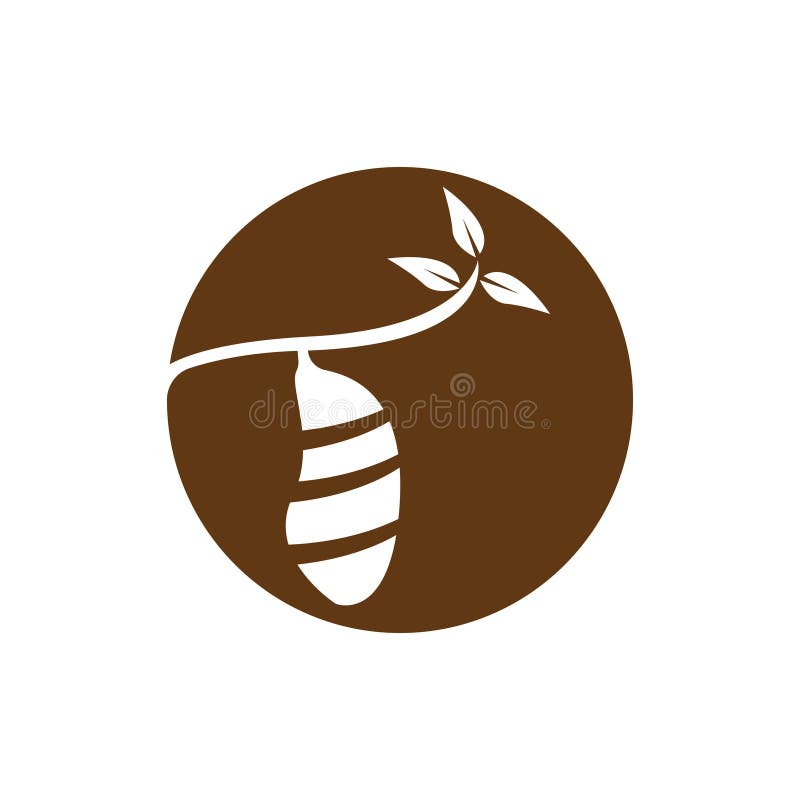 Cocoon Icon and Symbol Template Illustration Stock Illustration ...