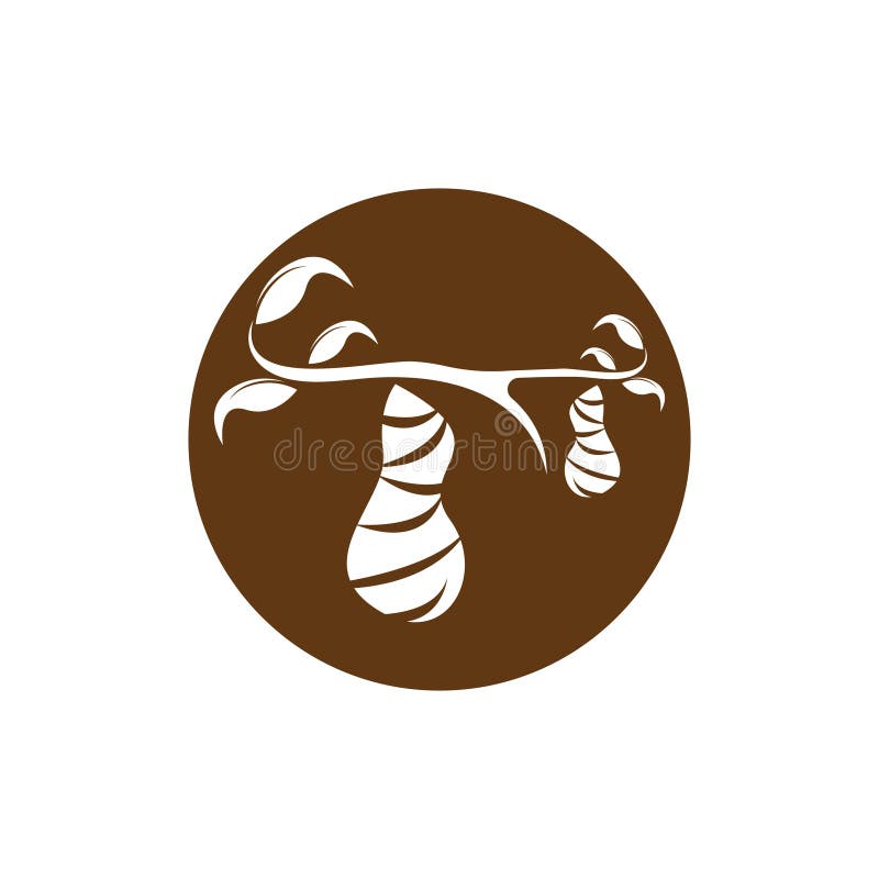 Cocoon Icon and Symbol Template Illustration Stock Illustration ...