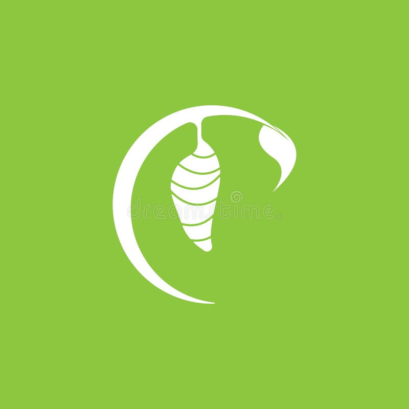 Cocoon Icon and Symbol Vector Template Illustration Stock Vector ...
