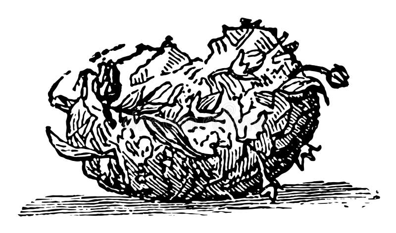 Cocoon Drawing Stock Illustrations – 862 Cocoon Drawing Stock ...