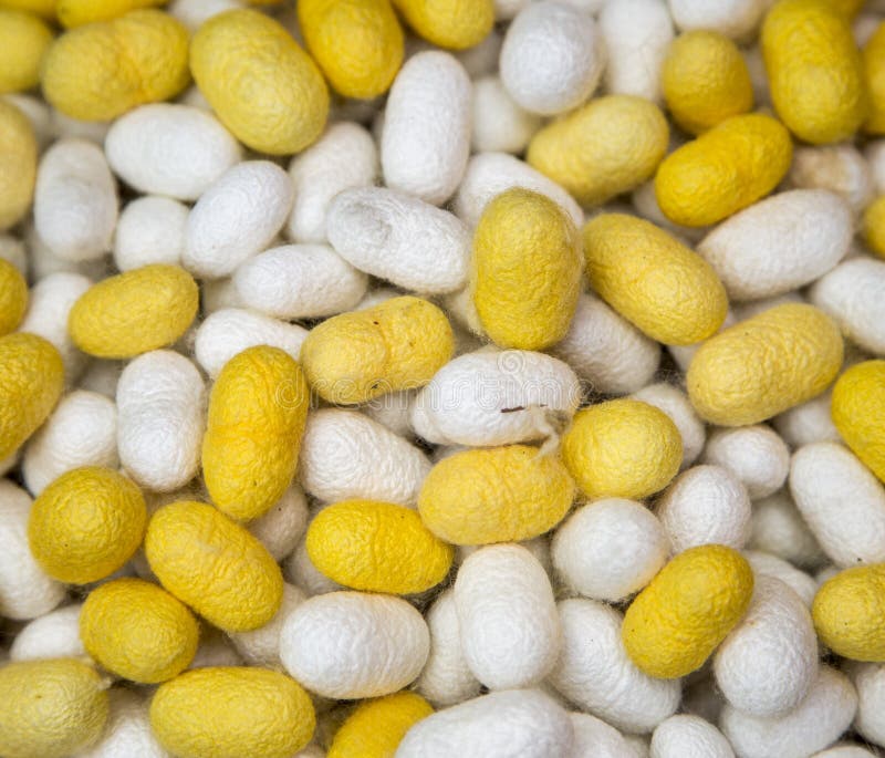 Raw silk thread stock photo. Image of loom, material - 14765374