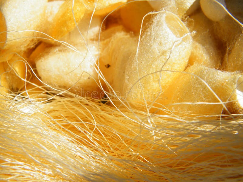 Cocoon production process stock image. Image of gold - 106036733
