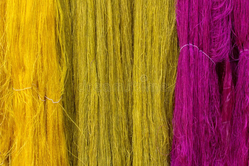 Cocoon Silkworm ,color Yellow and White Stock Image - Image of capsule ...