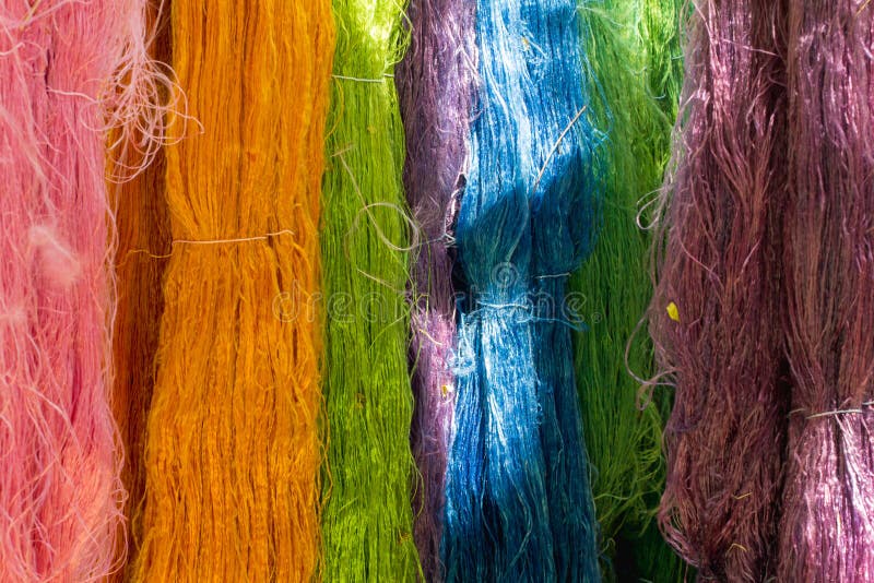 Cocoon Silkworm ,color Yellow and White Stock Photo - Image of little ...