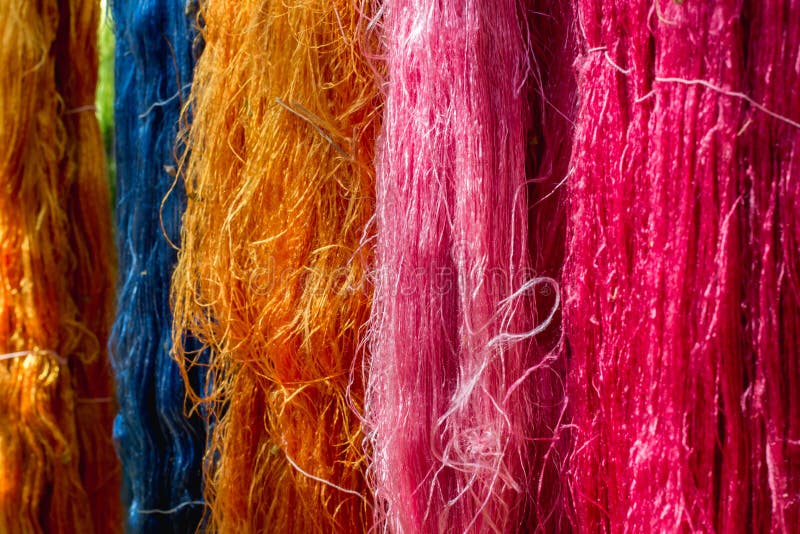 Cocoon Silkworm ,color Yellow and White Stock Image - Image of organic ...