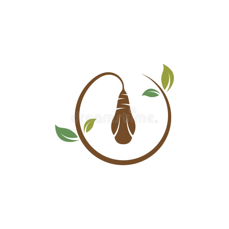 Cocoon Vector Illustrtion Design Stock Vector - Illustration of icon ...