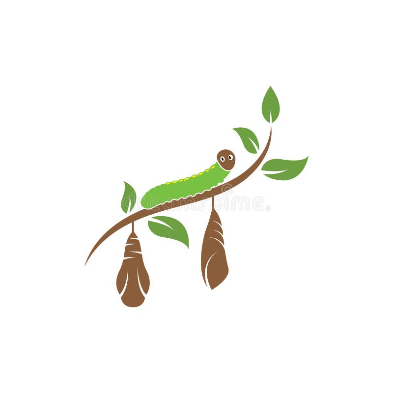 Cocoon Vector Illustrtion Design Stock Vector - Illustration of pest ...