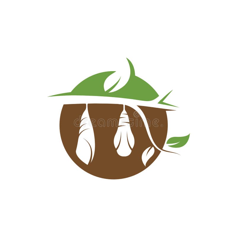 Cocoon Vector Illustrtion Design Stock Vector - Illustration of icon ...